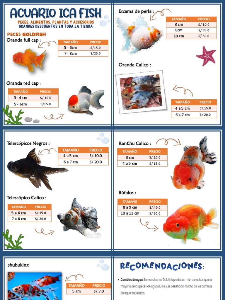Catálogo Acuario Ica Fish - Revista | PDF | Mantenimiento de pescado ...