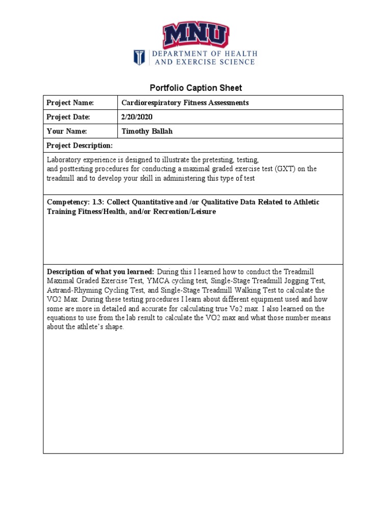 Caption Sheet Template 1 | PDF | Technology & Engineering