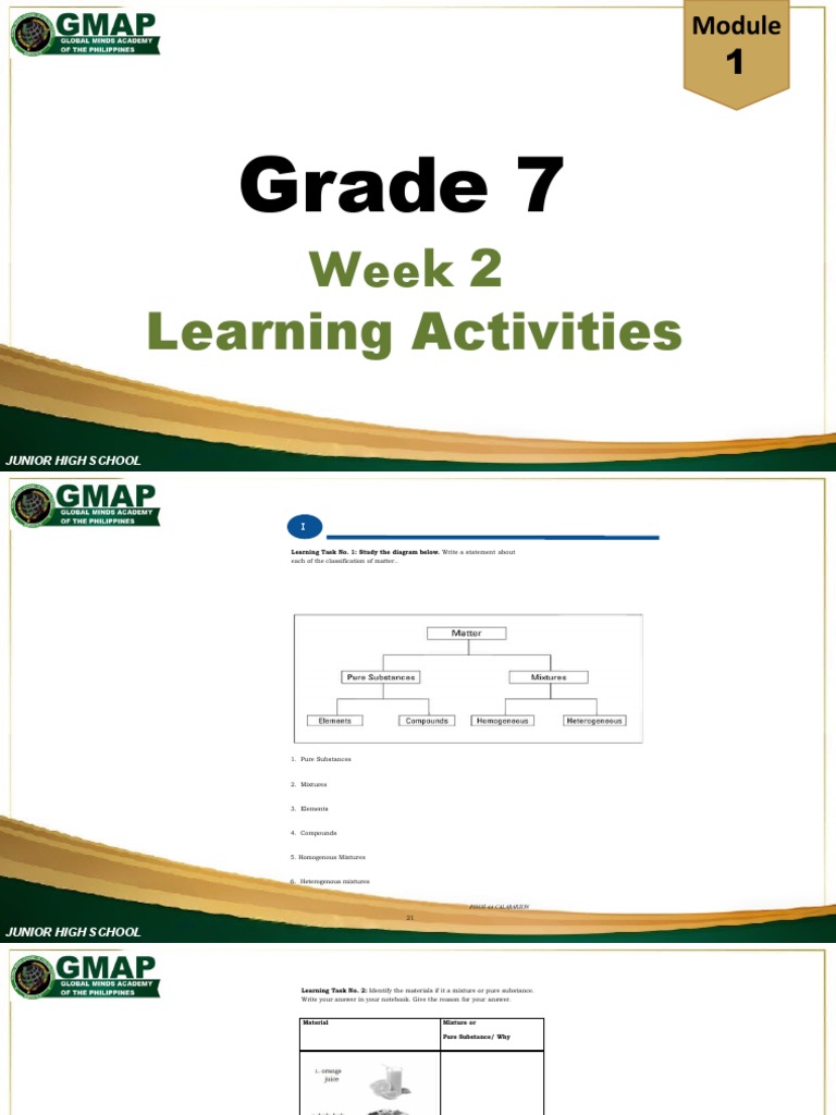 Classification of Matter Activities | PDF | Mixture | Chemical Substances