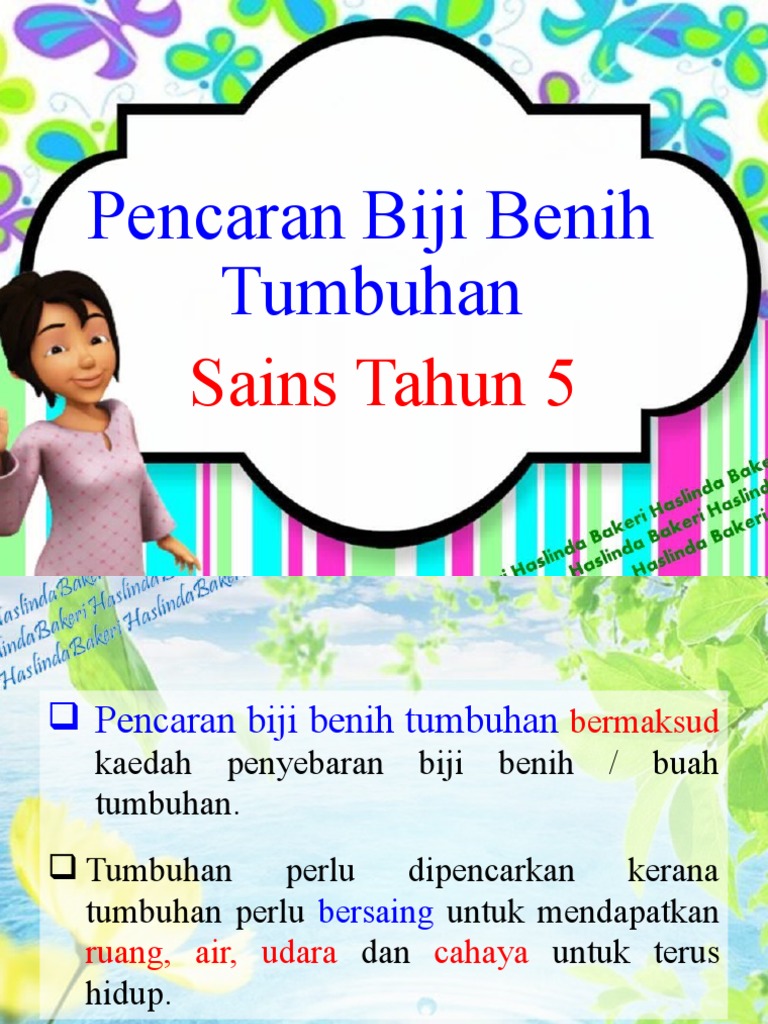 8.pencaran Biji Benih Tumbuhan | PDF