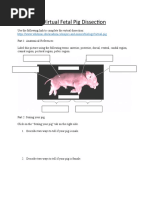 Constipation CHEO Handout | PDF | Constipation | Human Feces