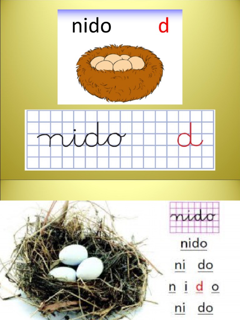 Leccion Nido | PDF