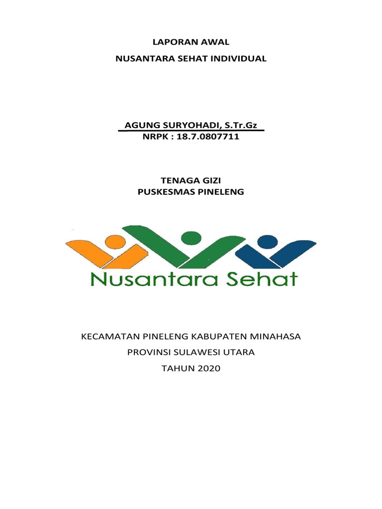 Laporan Awal Agung Suryohadi (Nsi) | PDF