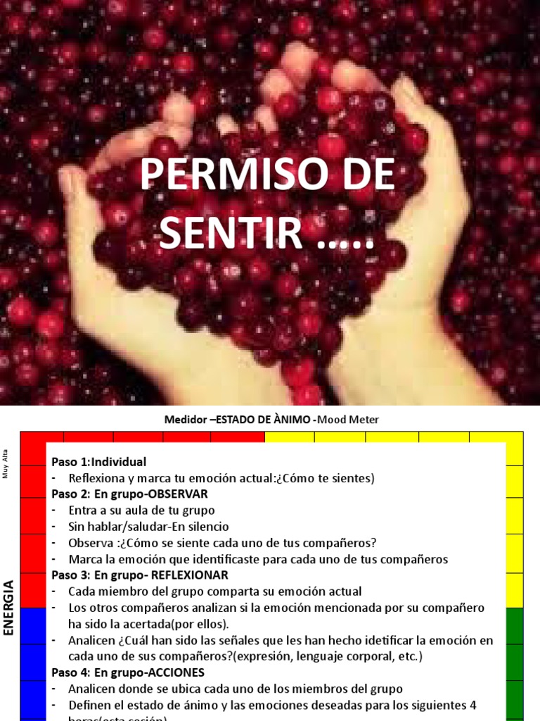 Dinámica 0-Permiso para sentir- PDL2 | PDF | Las emociones | Neurociencia