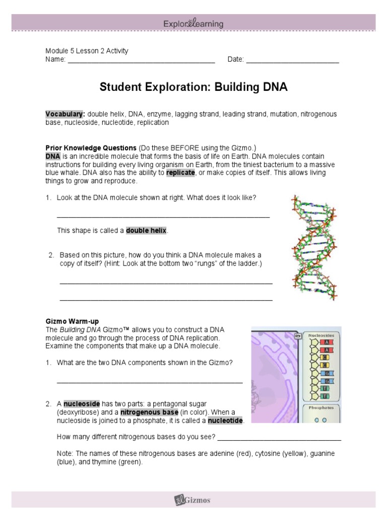 Module 5 Lesson 2 Assignment | PDF | Dna Replication | Dna