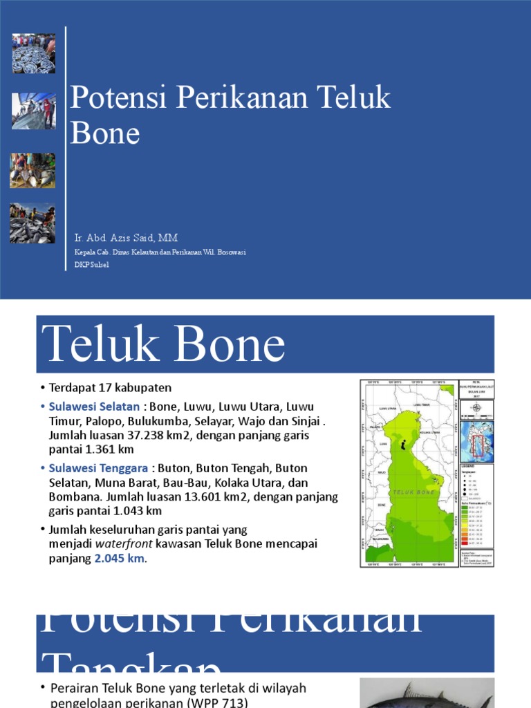 Potensi Perikanan Teluk Bone | PDF