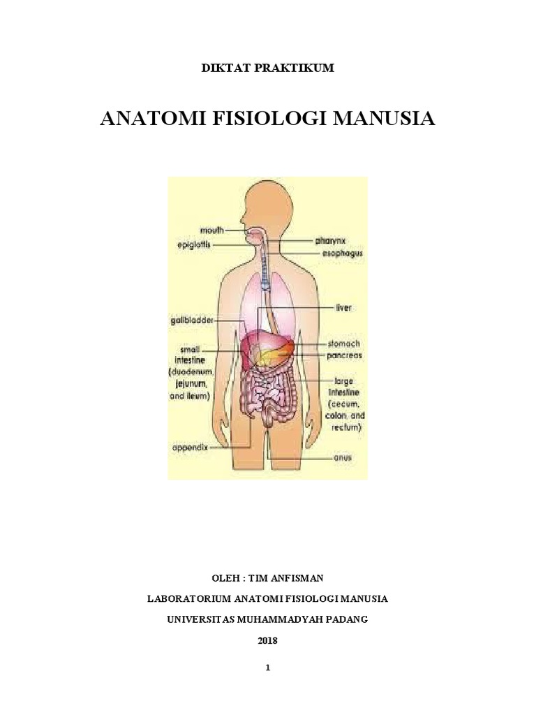 Anatomi Fisiologi Manusia | PDF