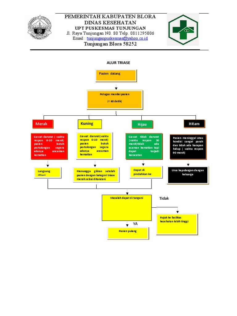 Alur Triase | PDF
