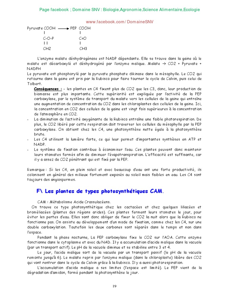 CHAP1 - PV - Chap2 - Nutrition Carbonée Part2 | PDF | Photosynthèse | Biochimie