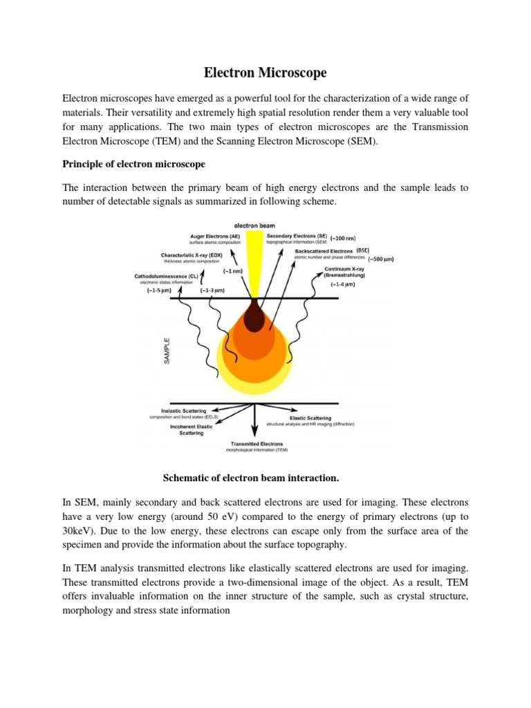 SEM and TEM Notes | PDF | Scanning Electron Microscope | Transmission ...