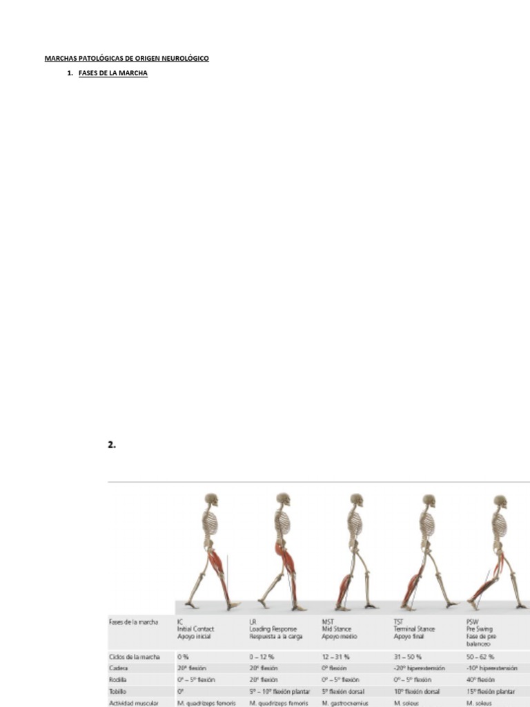 Marchas Patológicas de Origen Neurológico | PDF