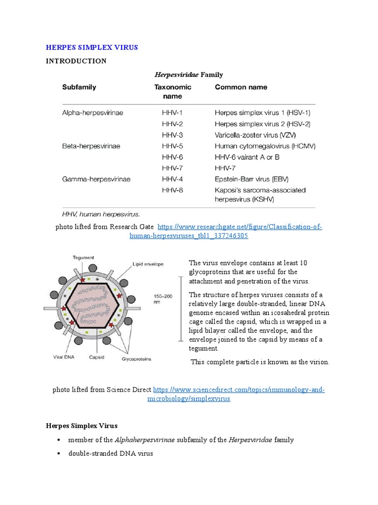 A Comprehensive Overview of Herpes Simplex Virus: Structure ...