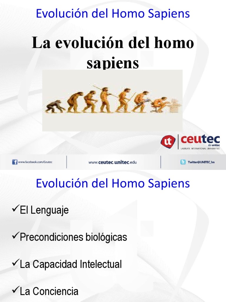 La Evolución Del HomoSapiens | PDF | Evolución | Homo