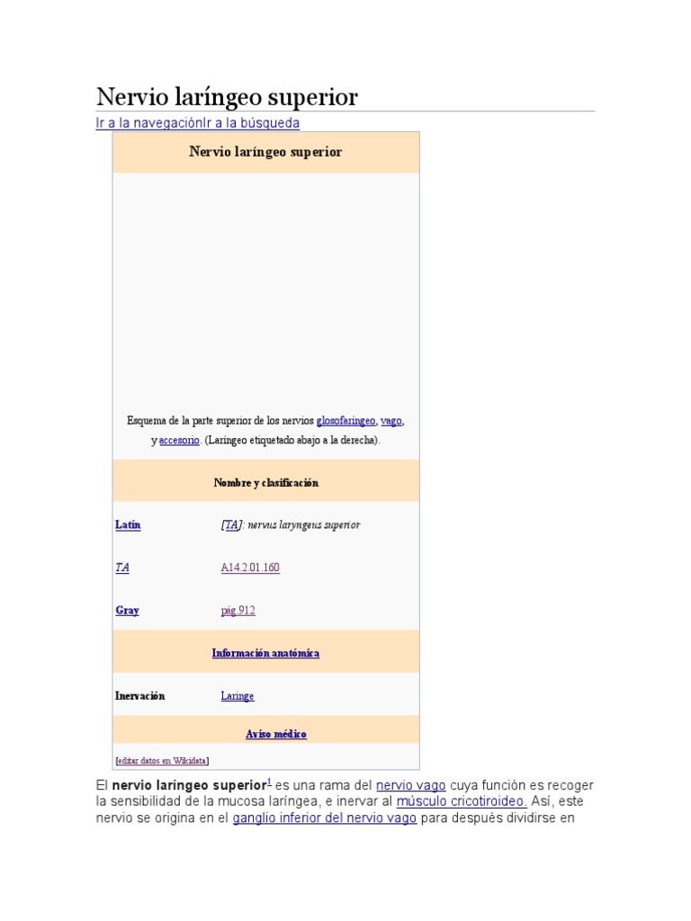 Nervio Laríngeo Superior | PDF