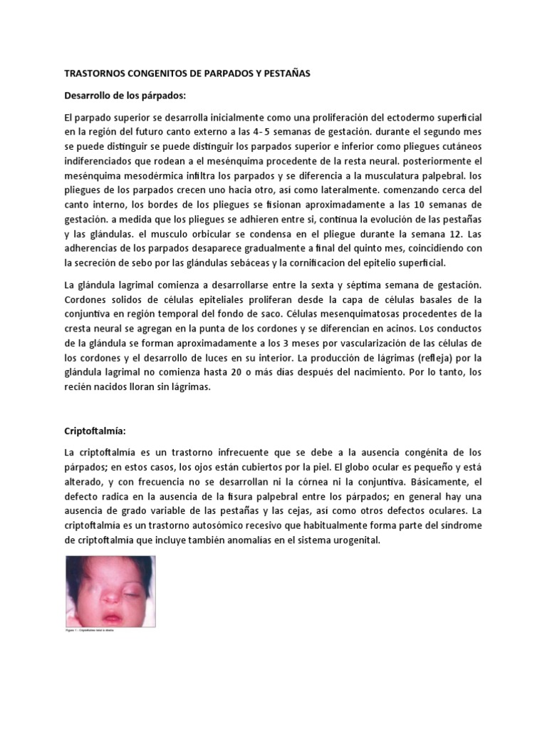 Desarrollo de Los Párpados | PDF | Especialidades Medicas ...