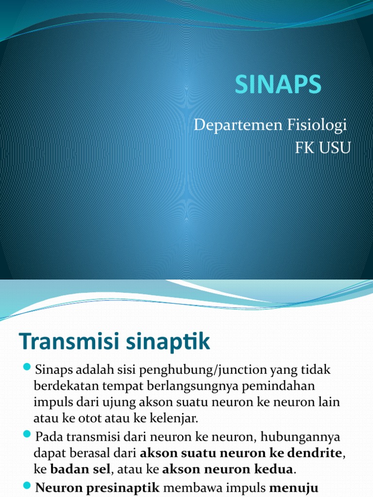 SINAPS | PDF