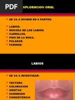 Istmo de Las Fauces | PDF | Medicina CLINICA | Enfermedades y trastornos