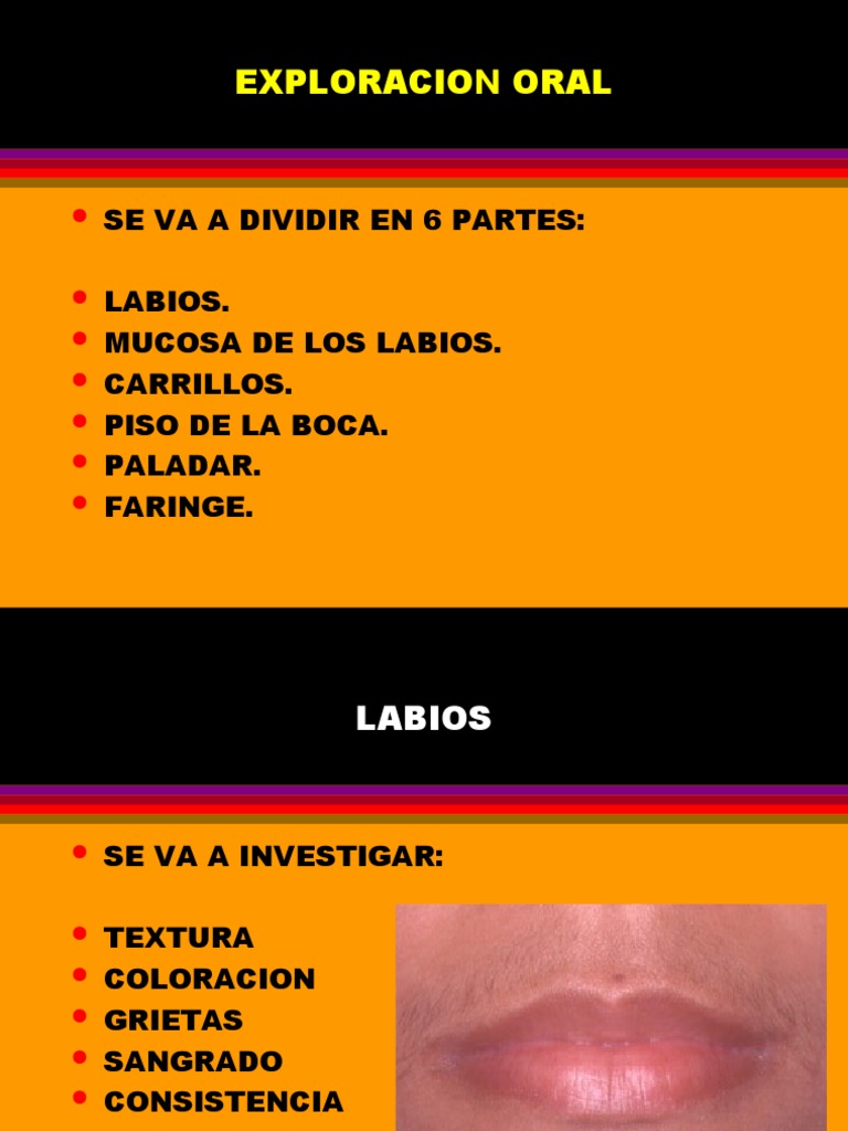 08EXPLORACION ORAL - PPT 2 | PDF | Anatomia animal | Anatomía