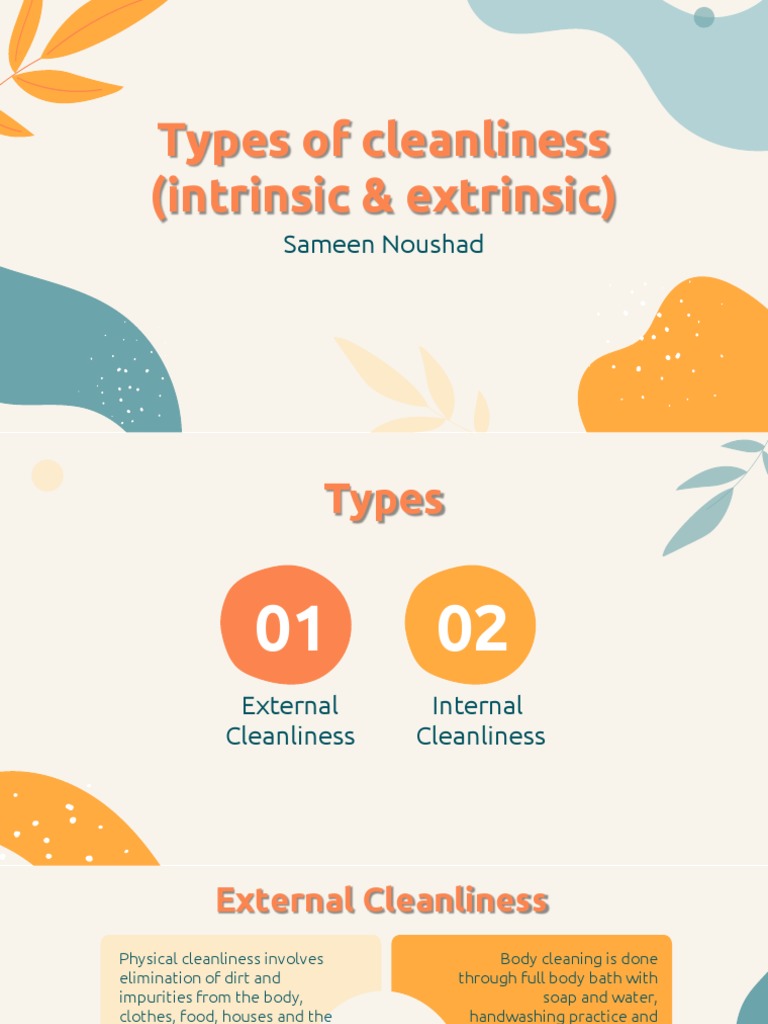 Types of Cleanliness (Intrinsic & Extrinsic) : Sameen Noushad | PDF ...