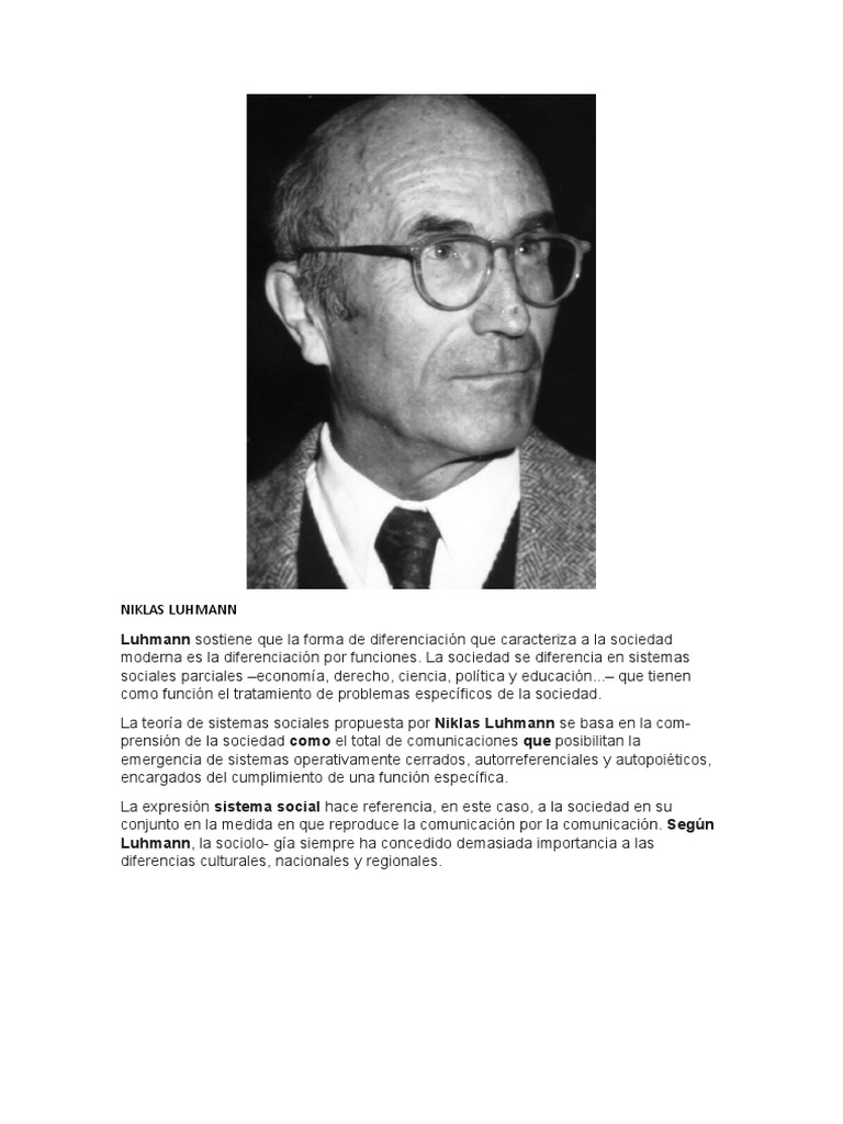 Niklas Luhmann | PDF