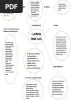 Mapas Conceptuales de Cuidados Paliativos | PDF | Gerontología | Paciente