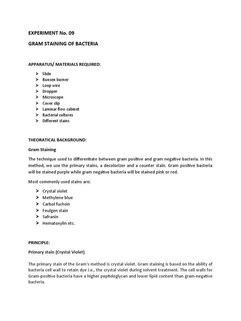 Gram Staining of Bacteria | PDF | Staining | Gram Positive Bacteria