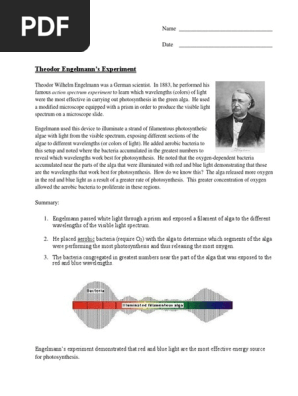 Engelmann Experiment