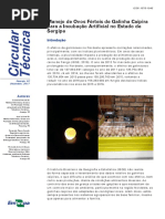 Inseticidas Epingle 100 Bula | PDF | Ferimento | Agricultura