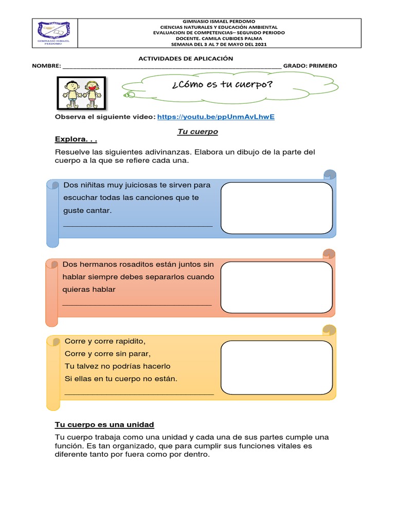 Mi Cuerpo - Grado Primero | PDF | Naturaleza