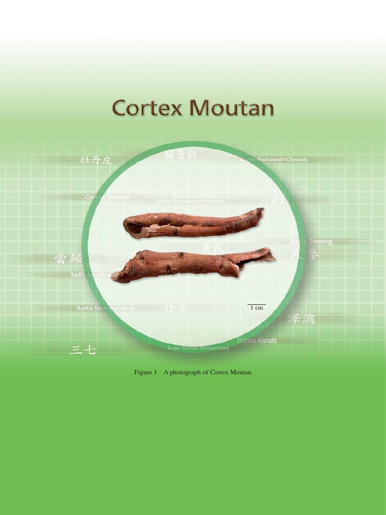 Cortex Moutan v1 e | PDF | High Performance Liquid Chromatography ...