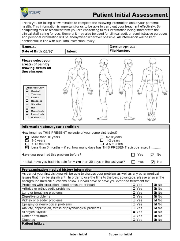 Fillable Patient Initial Assessment v4 | PDF | Back Pain | Pain