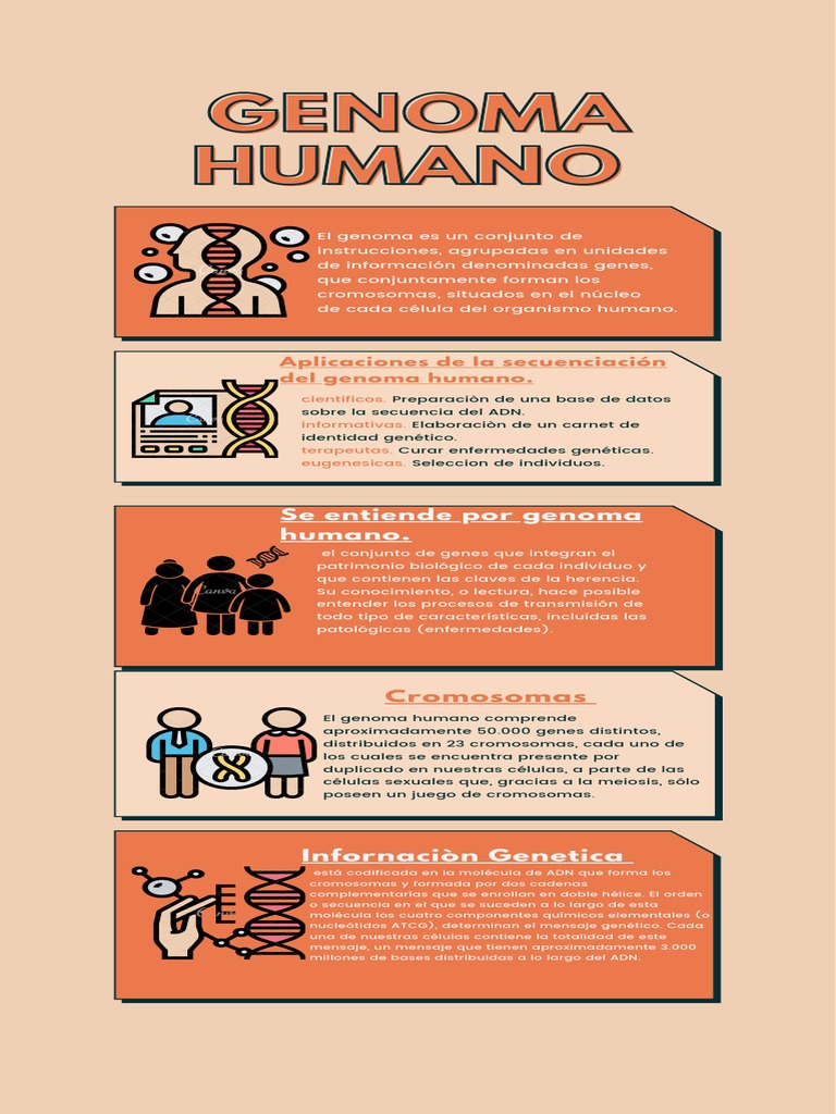 Infografía Genoma | PDF