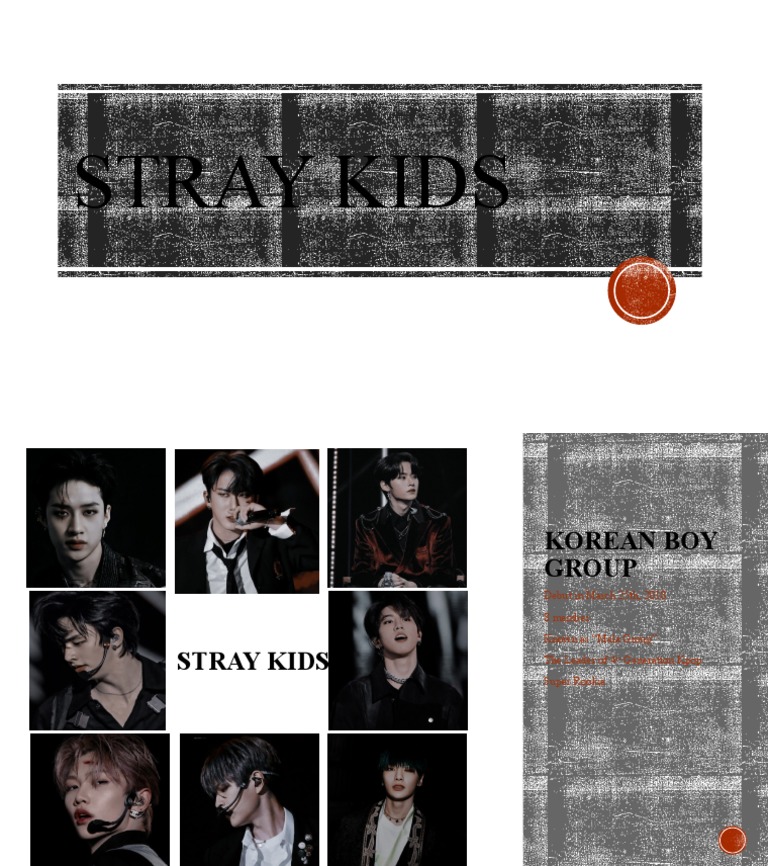 Stray Kids | PDF
