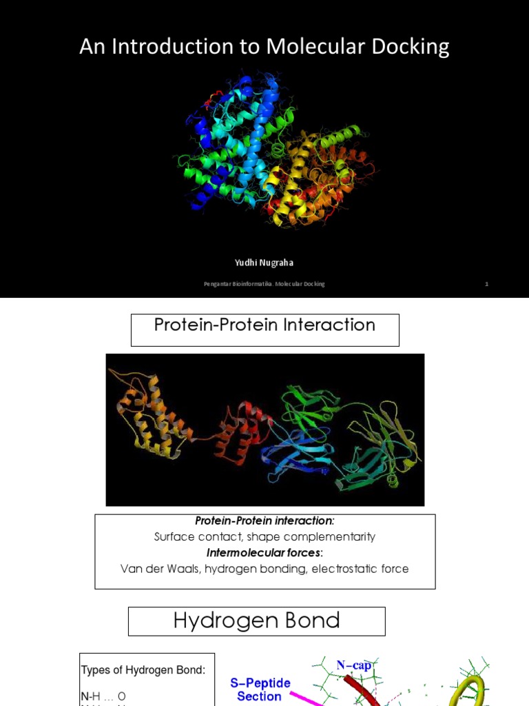 Molecular Docking | PDF | Docking (Molecular) | Ligand (Biochemistry)