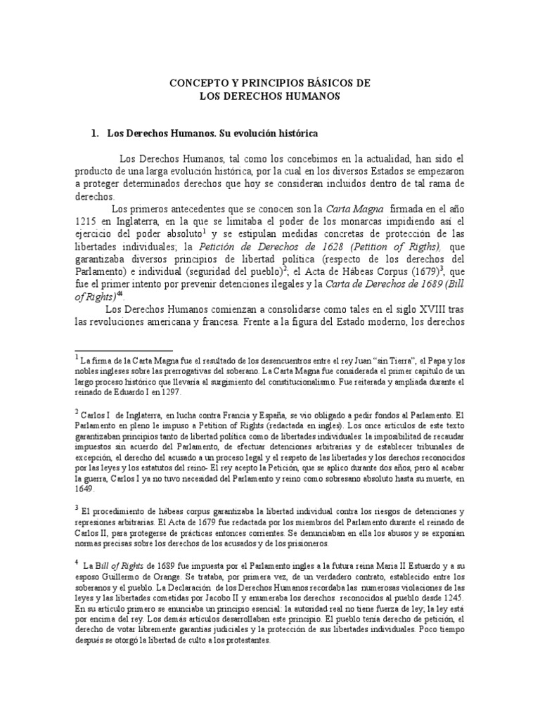 Concepto y Principios Básicos | PDF | Derechos humanos | Derechos