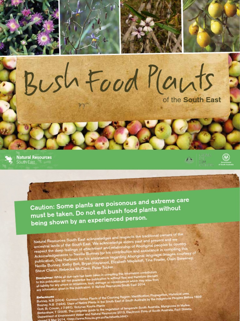 Aboriginal Bush Foods Identification Cards Gen | PDF | Plant Morphology ...