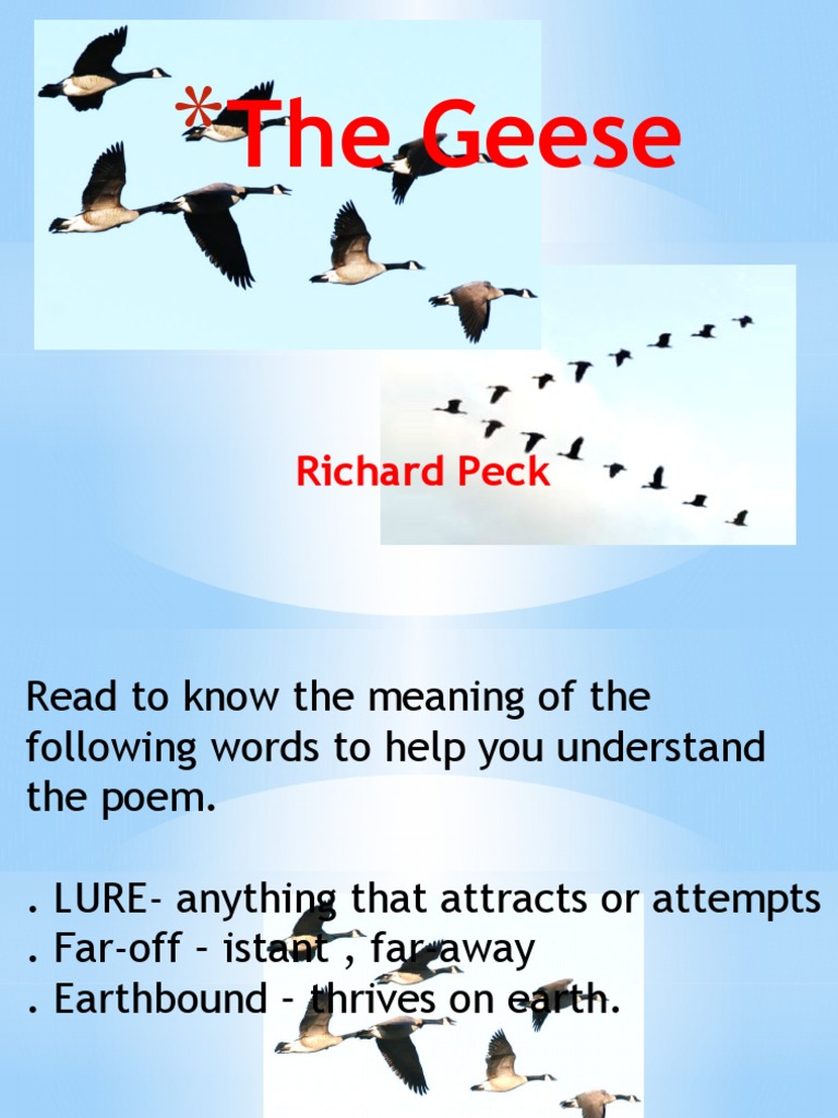 The Geese: Richard Peck | PDF | Goose
