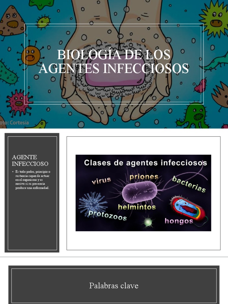 Biologia de Los Agentes Infecciosos | PDF | Las bacterias | Biología ...