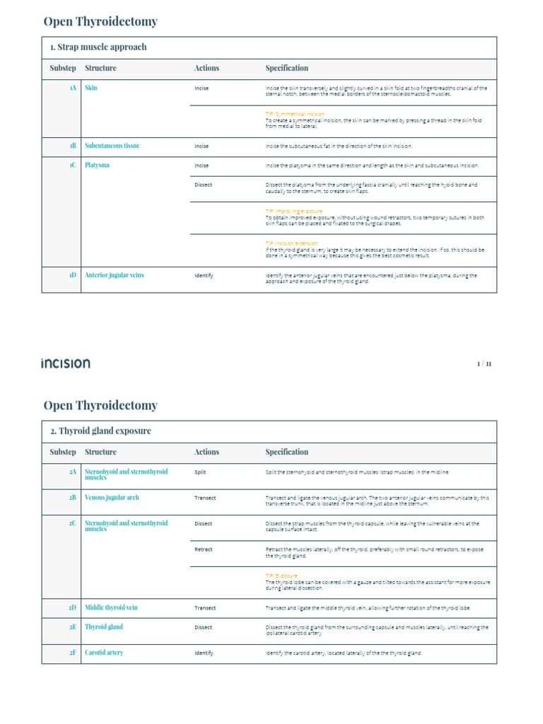 Open Thyroidectomy: 1. Strap Muscle Approach | PDF | Common Carotid ...