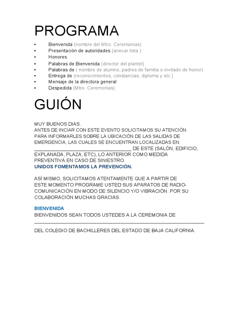 Formato Programa Guion | PDF