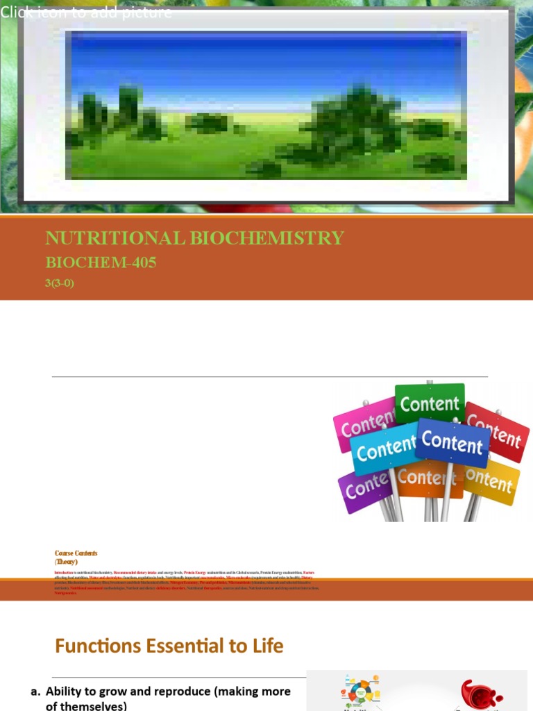 Nutritional Biochemistry Overview | PDF | Nutrients | Human Nutrition