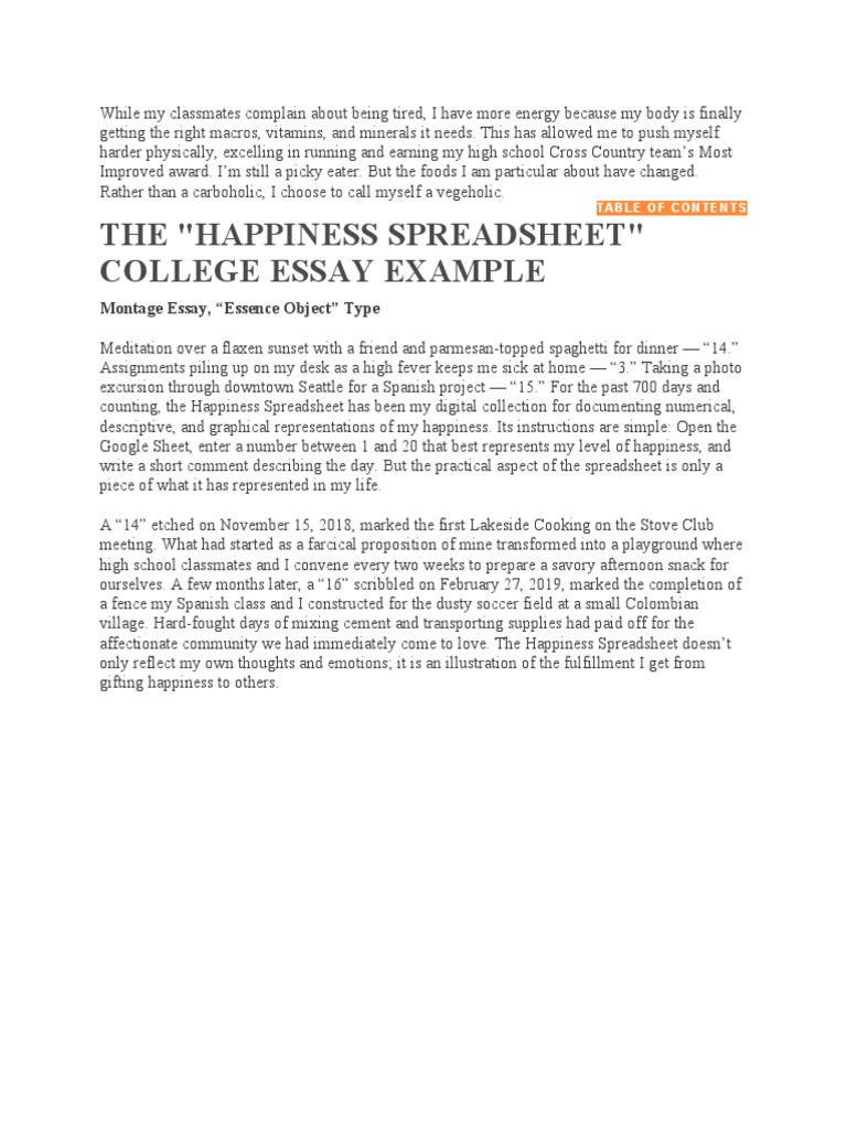 The "Happiness Spreadsheet" College Essay Example: Montage Essay ...