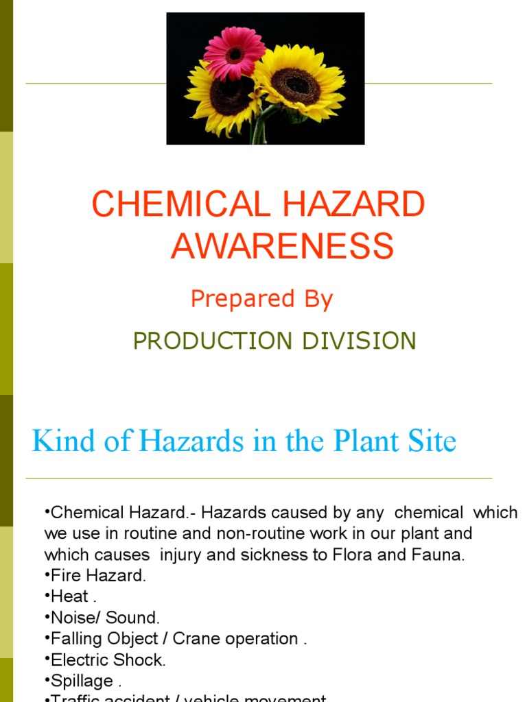 Chemical Safety-New | PDF | Personal Protective Equipment | Hazards