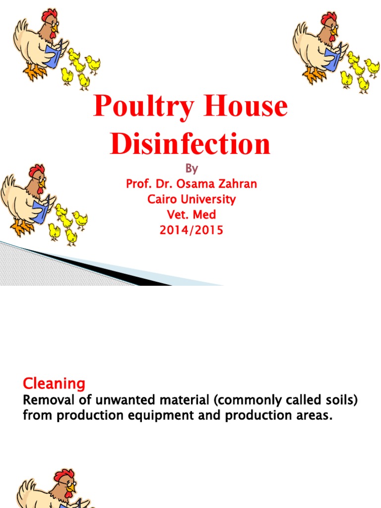 Poultry House Disinfection | PDF | Disinfectant | Biofilm