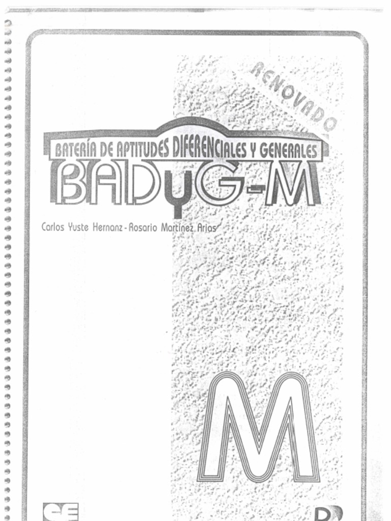 Cuaderno Badyg M | PDF
