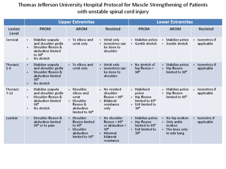 Spinal Cord Injury Muscle Protocol | PDF | Anatomical Terms Of Motion ...