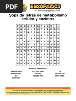 Sopa de Letras: Sistemas del Cuerpo Humano | PDF | Cuerpo humano ...