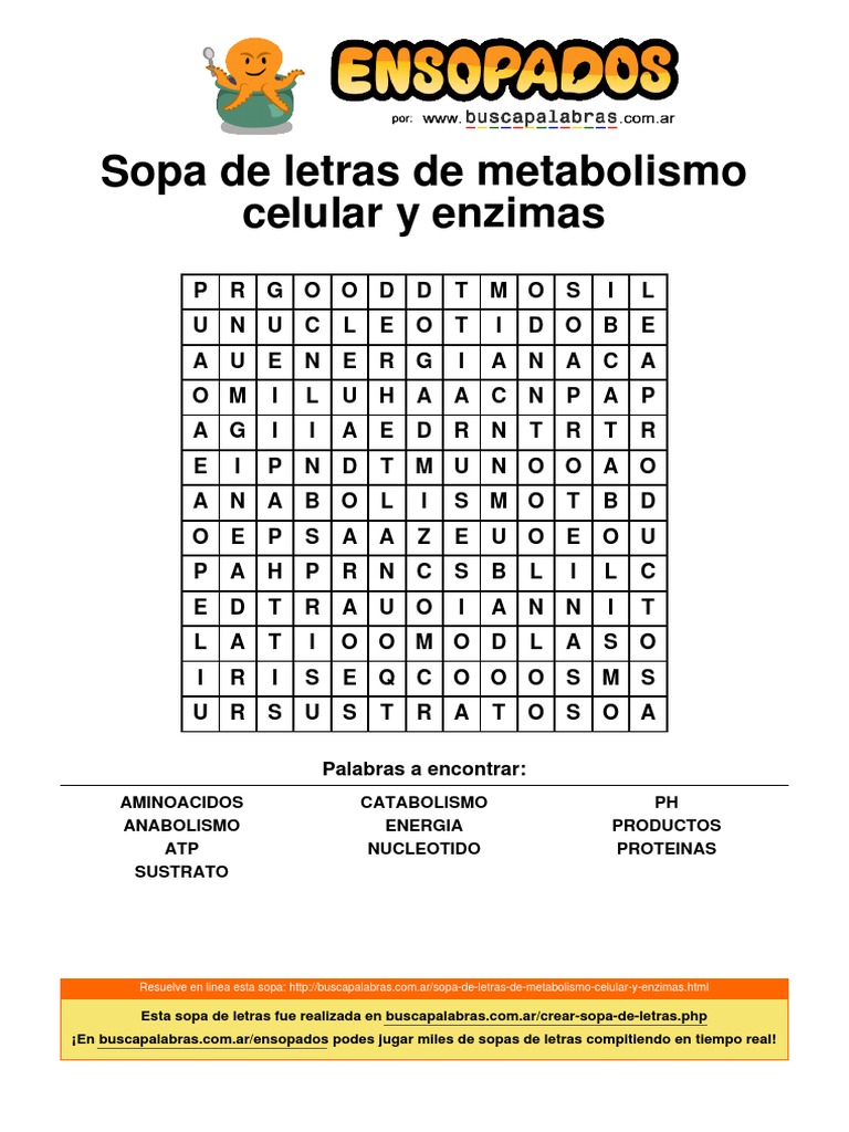 Sopa de letras: Metabolismo y enzimas | PDF