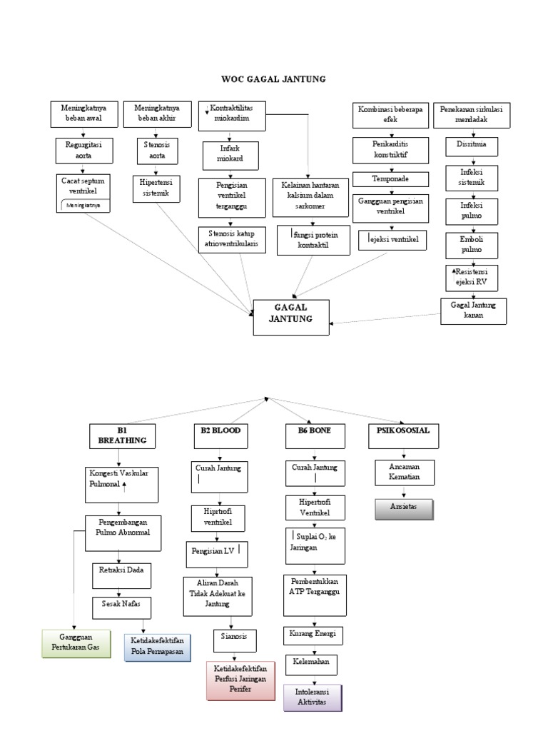 Woc Gagal Jantung | PDF
