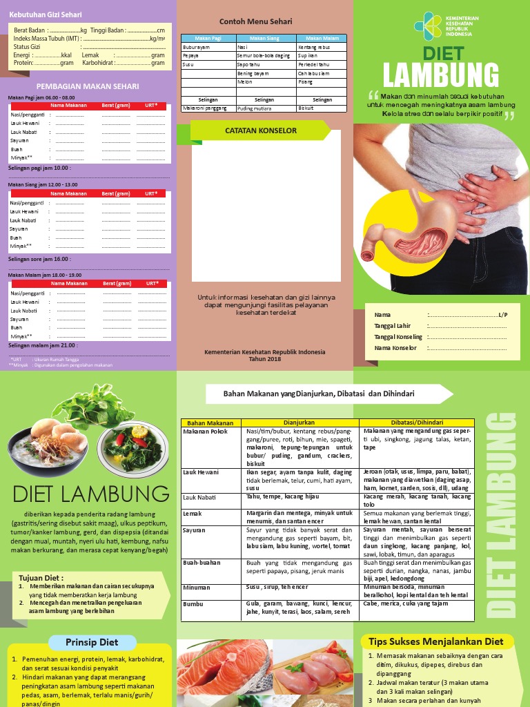 Diet Lambung | PDF